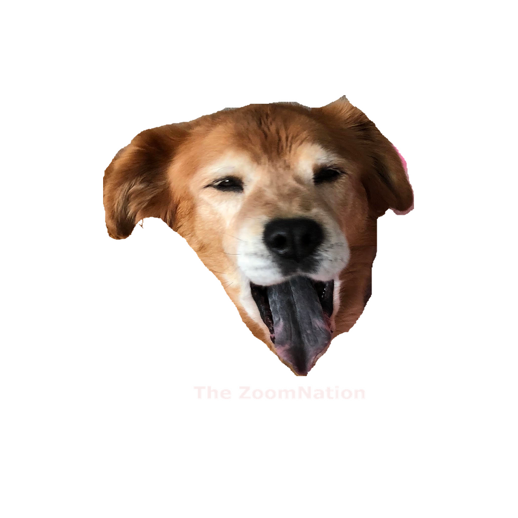 zoomnation-store-se-merch