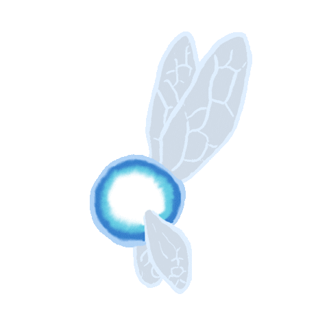 Navi Zelda Gif